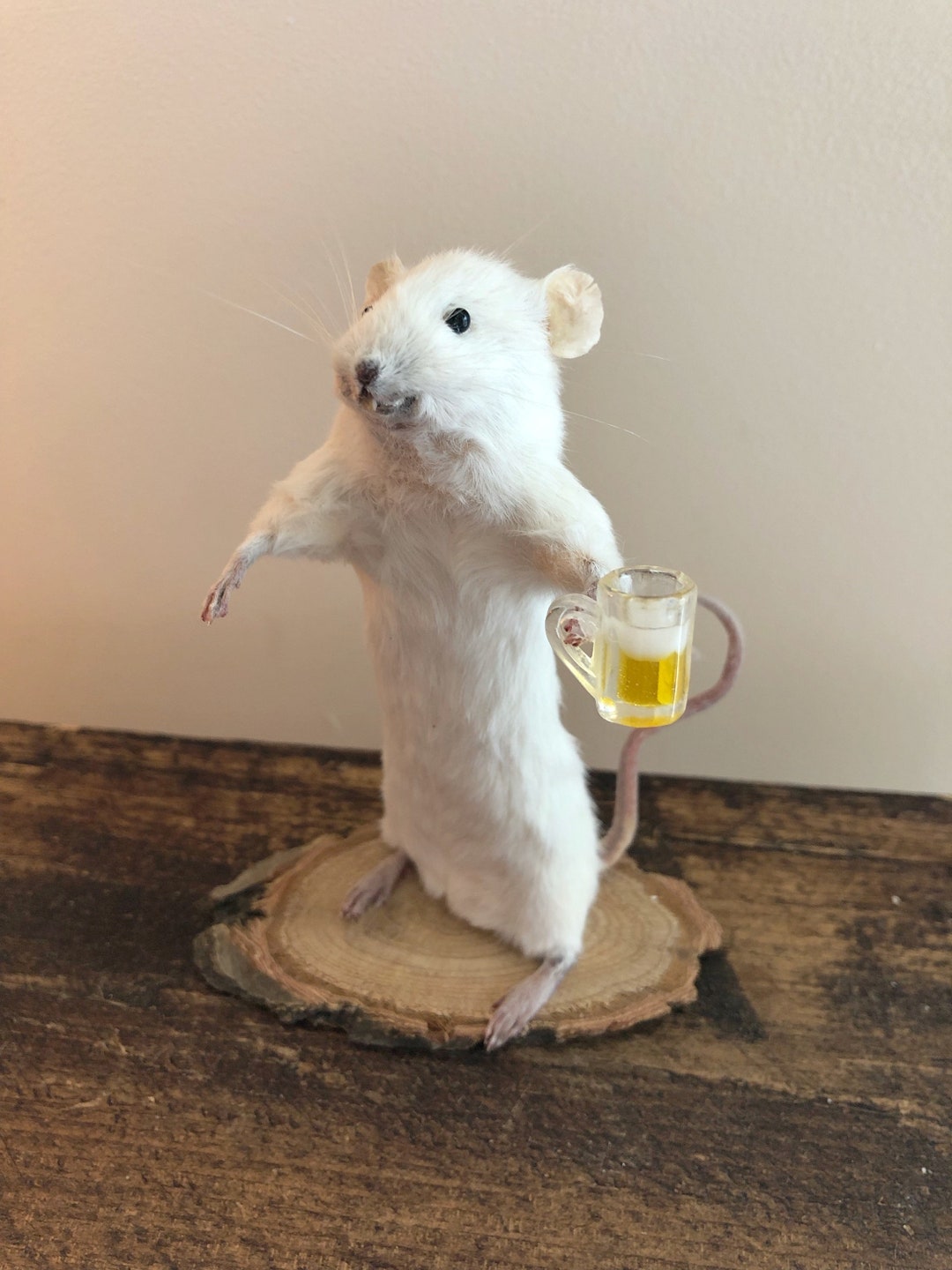Made to Order Taxidermy Beer Drunk Mouse Funny Gift Session - Etsy