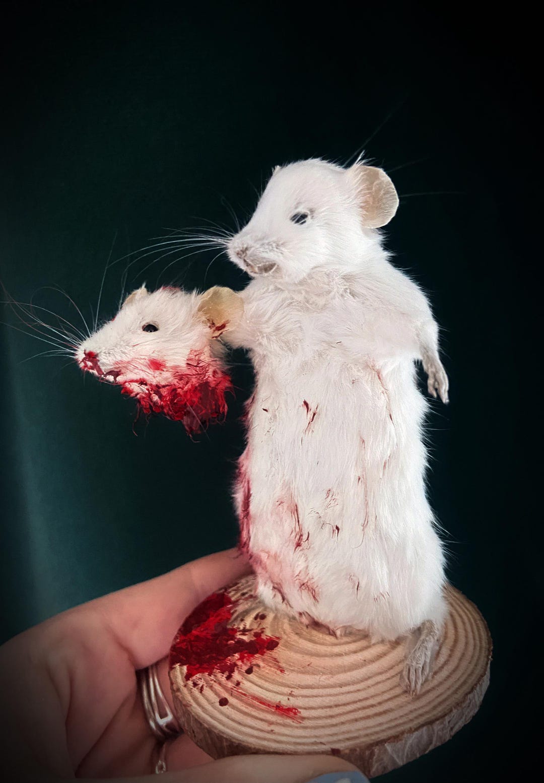 Oops I Did It Again Taxidermy Murder Mouse - Etsy