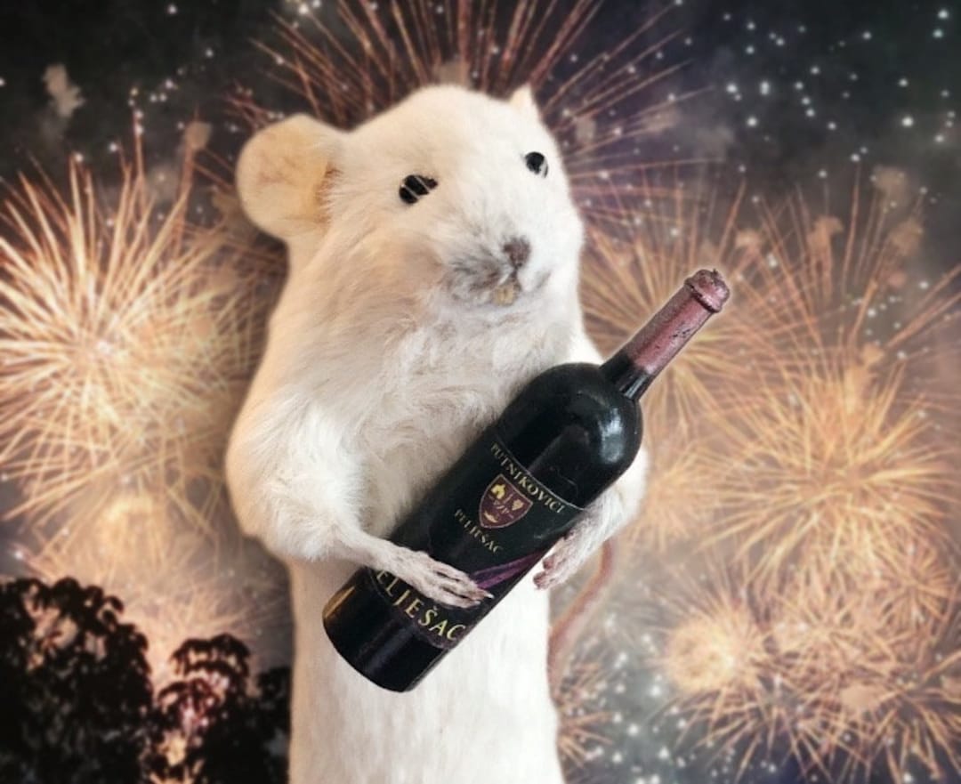 Made to Order Taxidermy Mouse Holding Her Wine Drunk Unusual Gift Wine ...