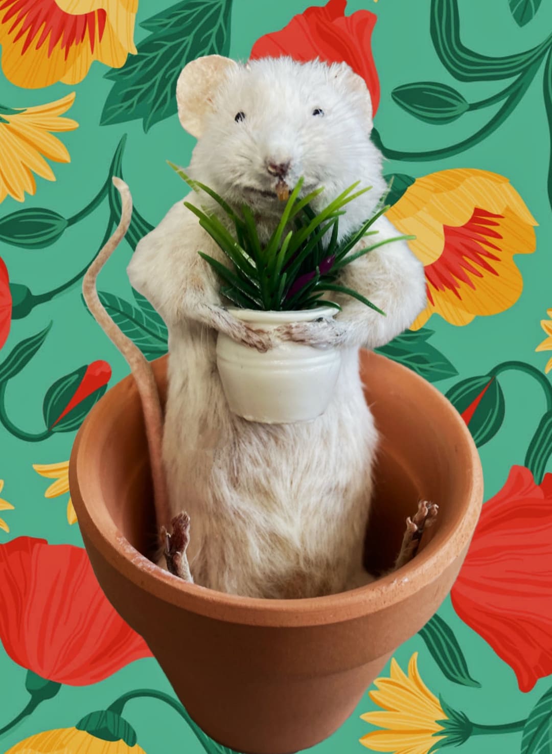 READY TO GO Taxidermy Plant Pot Mouse - Etsy