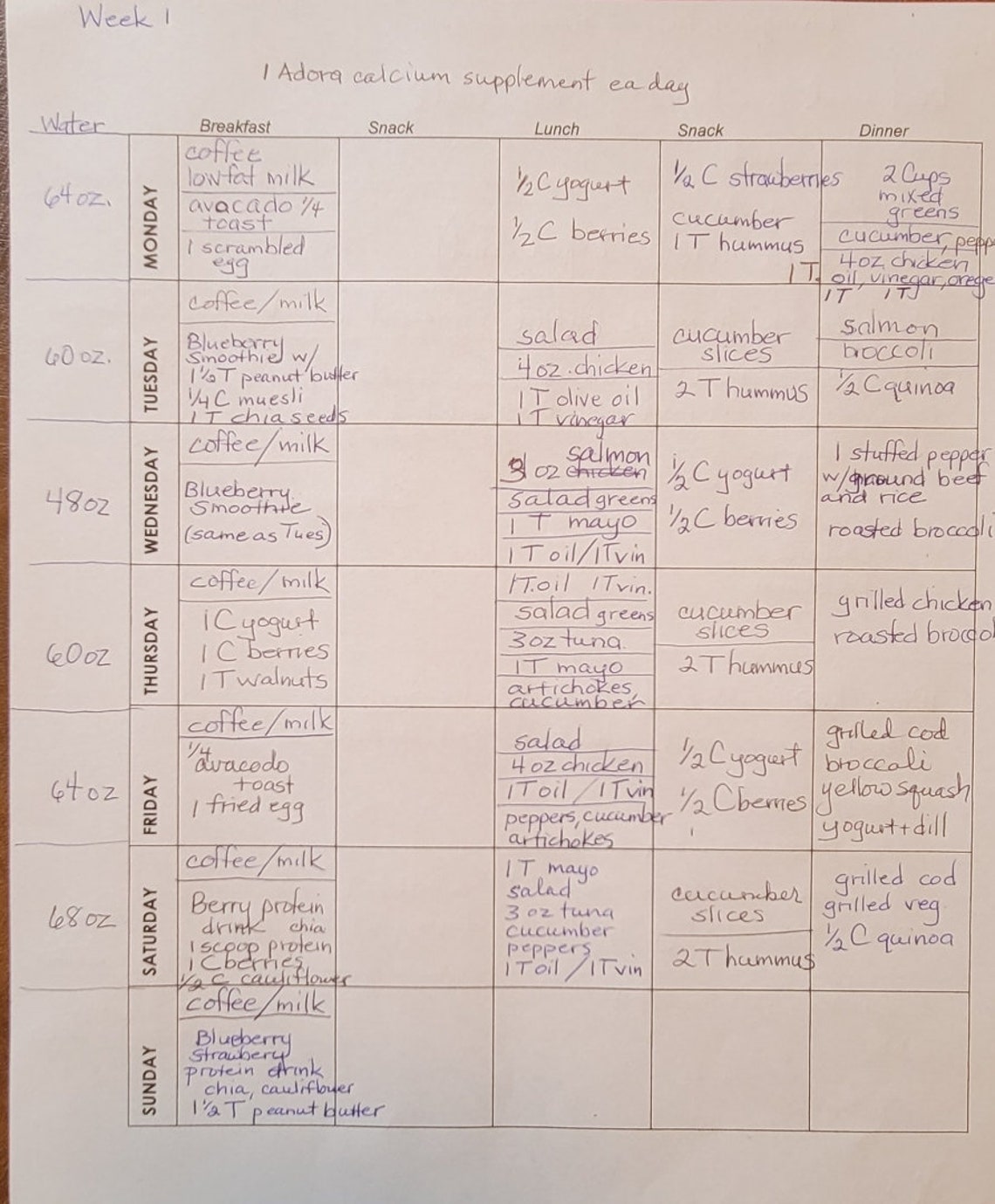 Simple 7 Day Food Log - Etsy