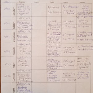 Simple 7 Day Food Log - Etsy