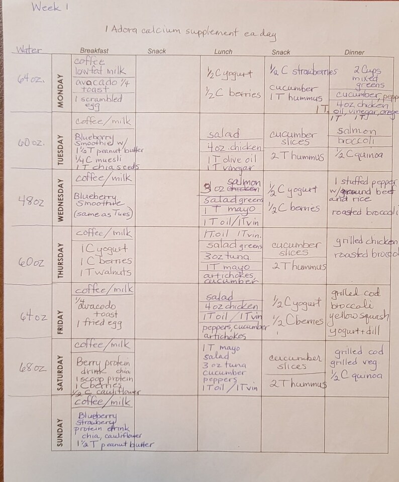 Simple 7 Day Food Log - Etsy