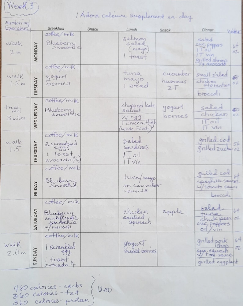 Simple 7 Day Food Log - Etsy