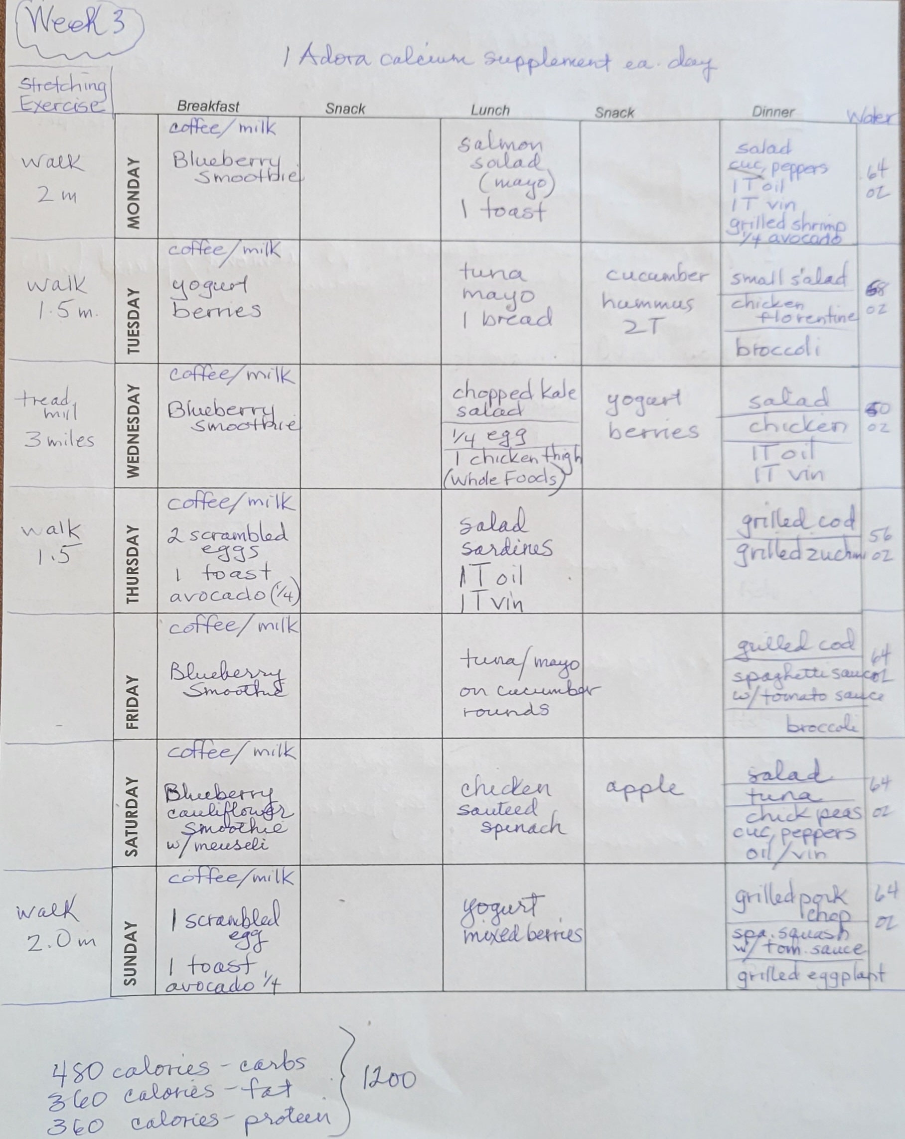 Simple 7 Day Food Log - Etsy
