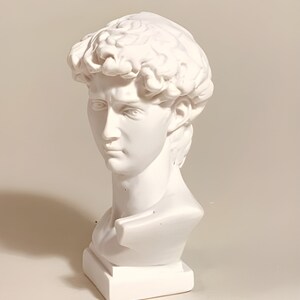 Small Size Julian Bust Mold, 2-part Statue Mold, 3d Dimensional Mold ...