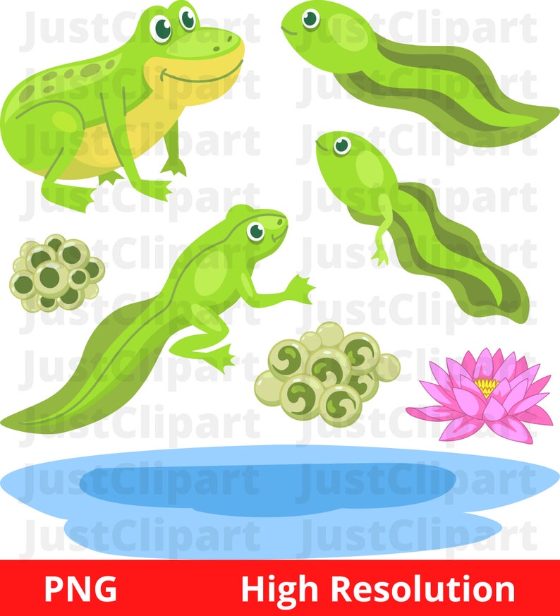 Frogs Clipart, Pond Clipart, Lily Pads Clipart, Summer Clipart, Tadpole ...