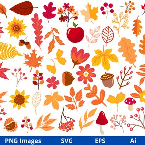 Autumn Leaves Clipart, Fall Leaves Clipart, Autumn Clipart, Fall ...