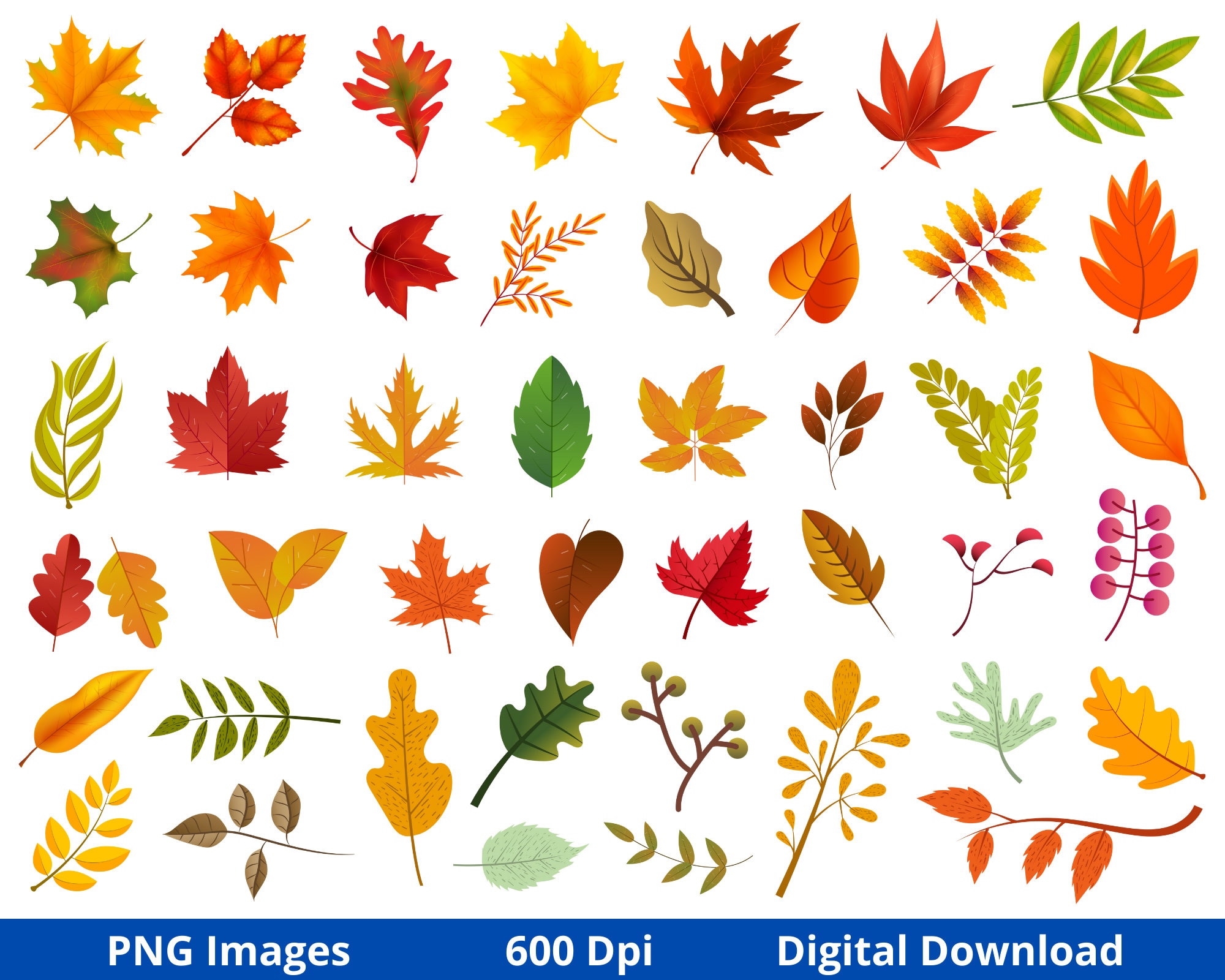 Autumn Leaves Clipart, Fall Leaves Clipart, Autumn Clipart, Fall ...
