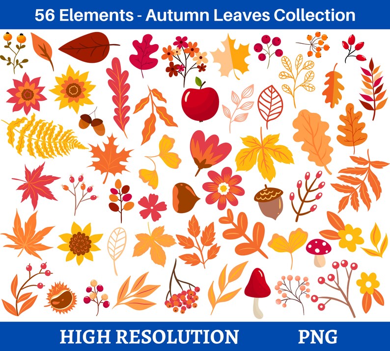 Autumn Leaves Clipart, Fall Leaves Clipart, Autumn Clipart, Fall ...