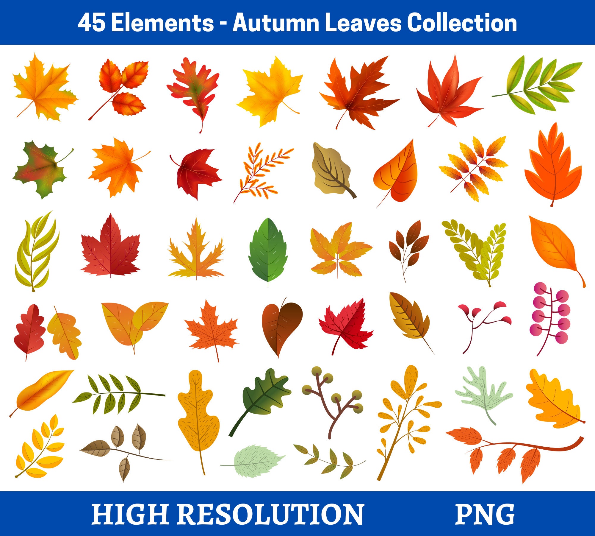 Autumn Leaves Clipart, Fall Leaves Clipart, Autumn Clipart, Fall ...
