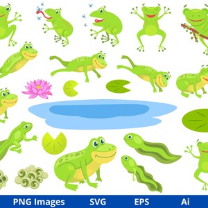 Frogs Clipart, Pond Clipart, Lily Pads Clipart, Summer Clipart, Tadpole ...