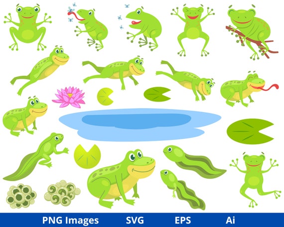 Frogs Clipart Pond Clipart Lily Pads Clipart Summer - Etsy