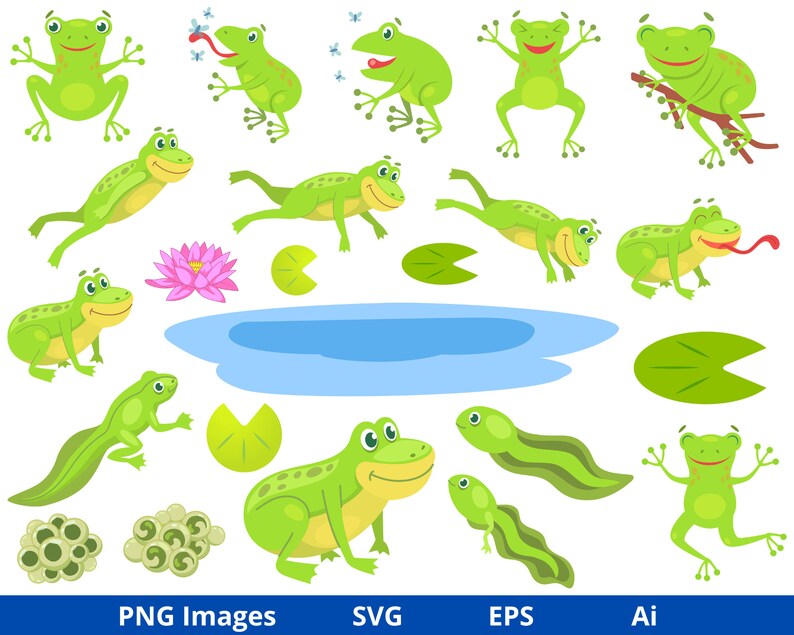 Frogs Clipart, Pond Clipart, Lily Pads Clipart, Summer Clipart, Tadpole ...