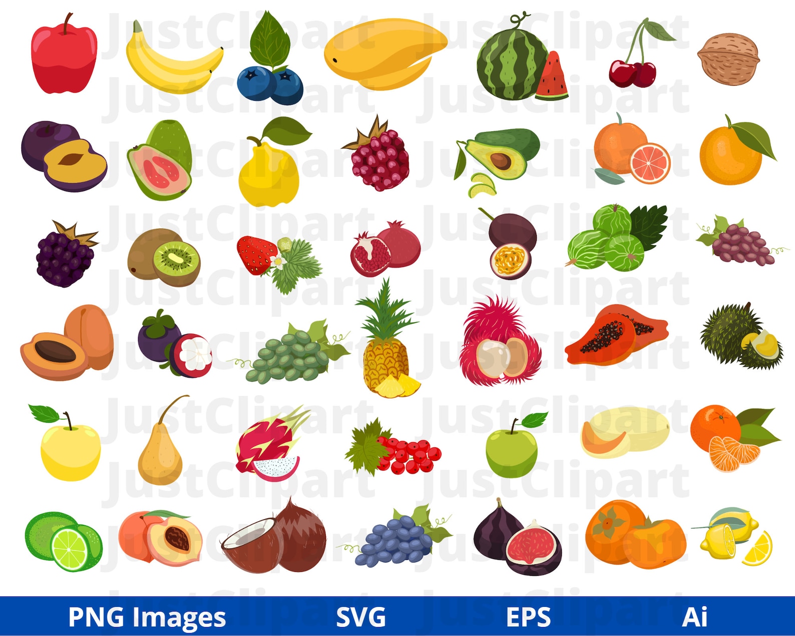 Fruits Clipart, Summer Fruits, Fruit SVG Bundle, Tropical Fruits ...