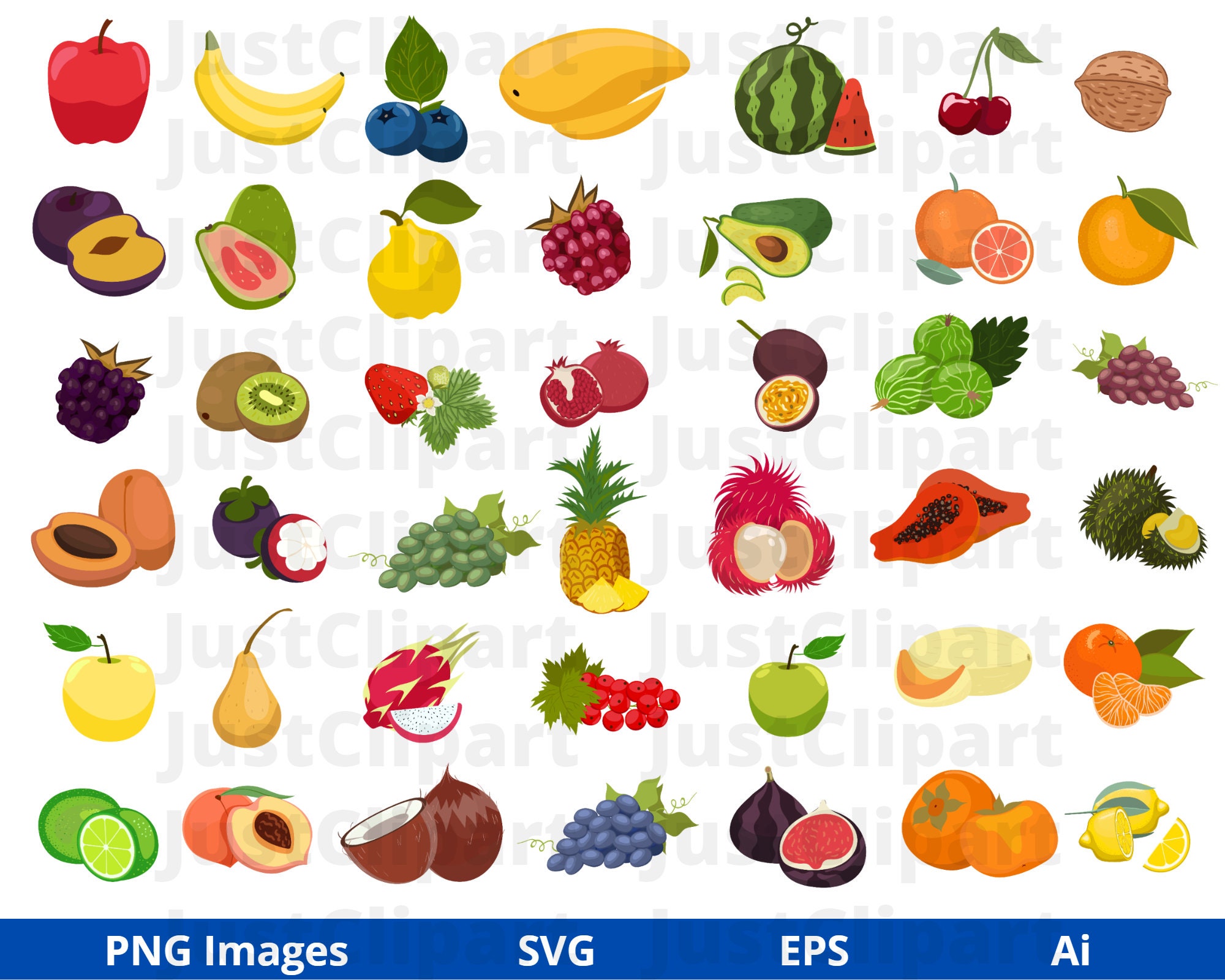Fruits Clipart, Summer Fruits, Fruit SVG Bundle, Tropical Fruits ...