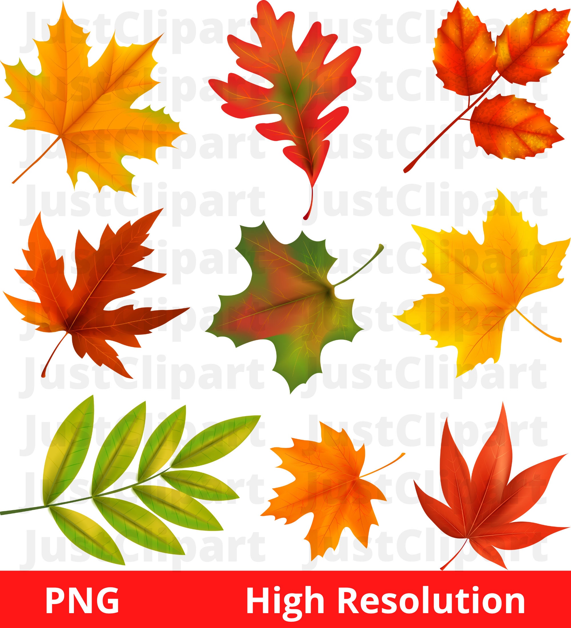 Autumn Leaves Clipart, Fall Leaves Clipart, Autumn Clipart, Fall ...