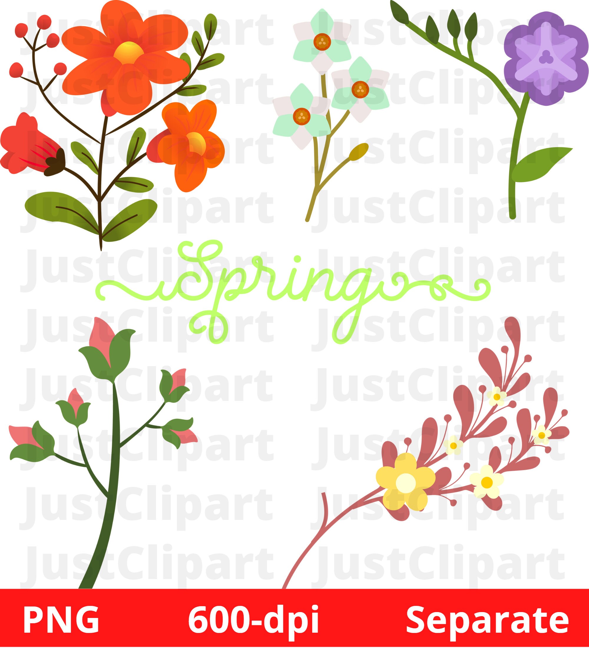 Flowers Clipart Set, Colorful Floral, Spring Flowers, Wedding, Leaves ...