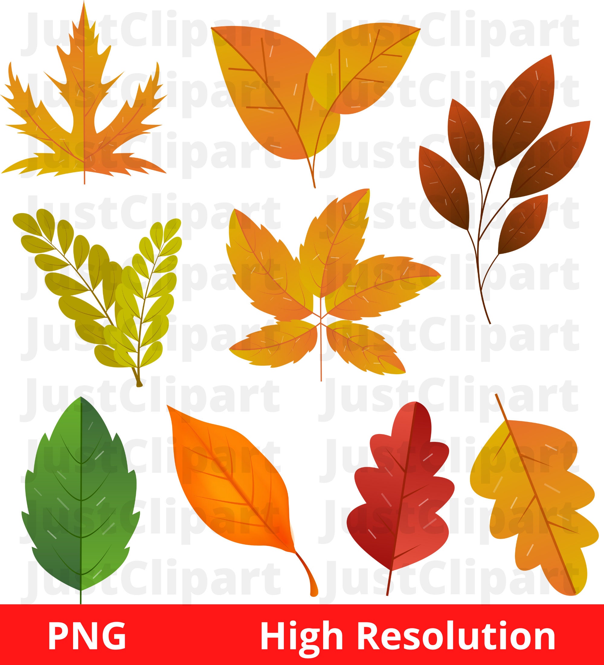 Autumn Leaves Clipart, Fall Leaves Clipart, Autumn Clipart, Fall ...