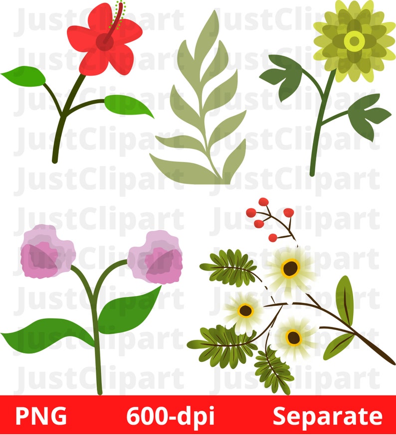 Flowers Clipart Set, Colorful Floral, Spring Flowers, Wedding, Leaves ...