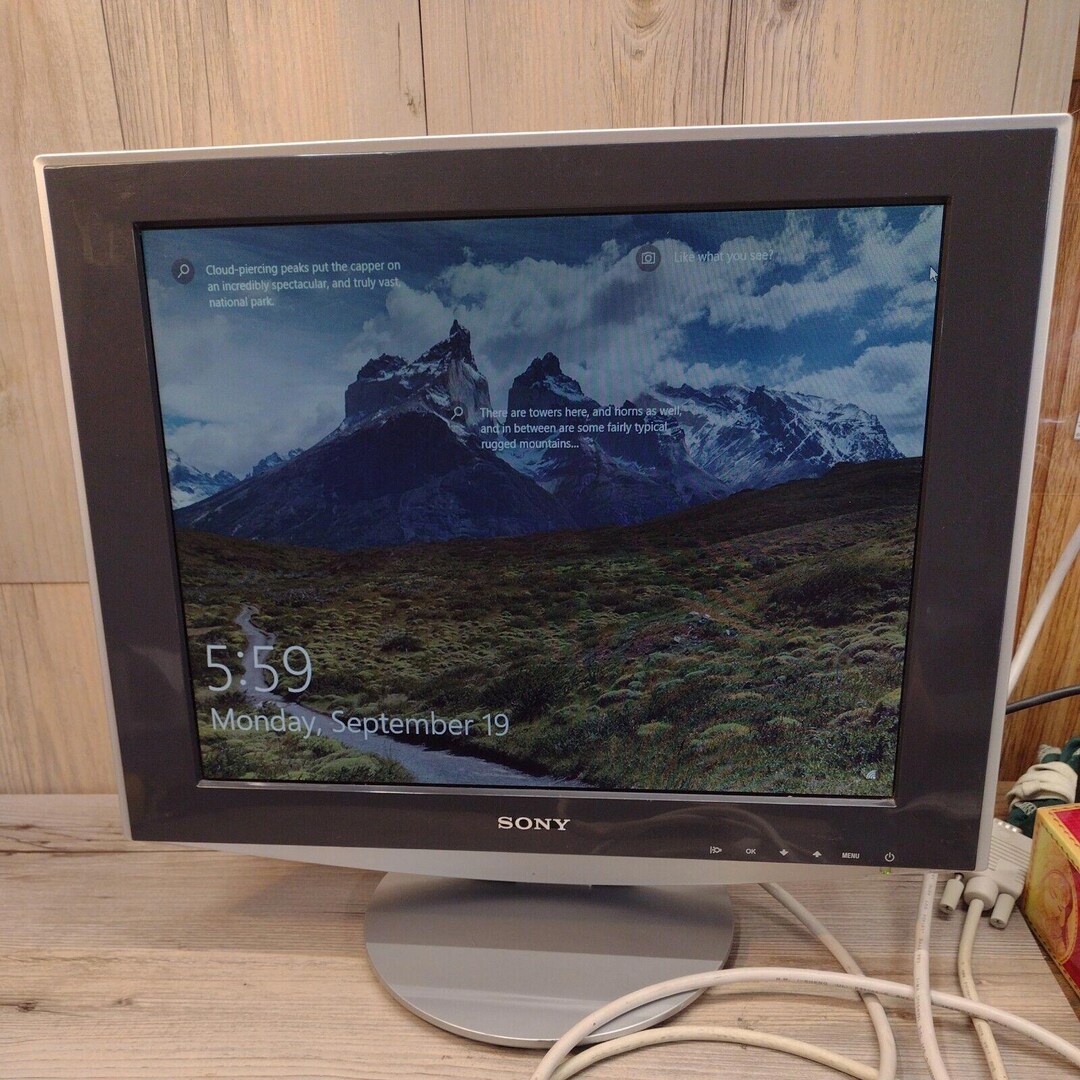 Sony SDM-HS53 15-inch TFT LCD Color Computer Display - Etsy
