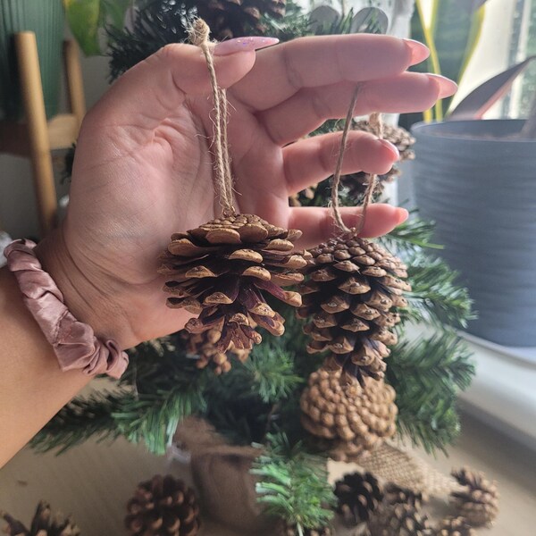 Natural Pine Cones - Etsy