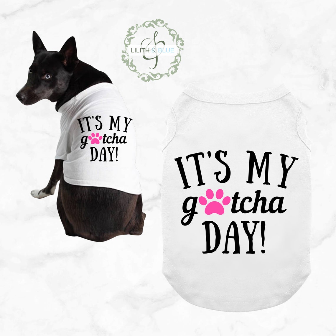 It's My Gotcha Day SVG Instant Download - Etsy