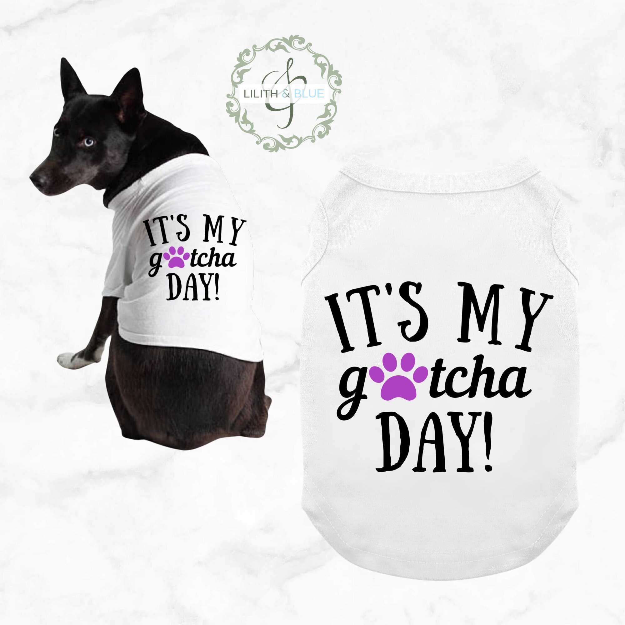 It's My Gotcha Day SVG- Instant Download - Etsy