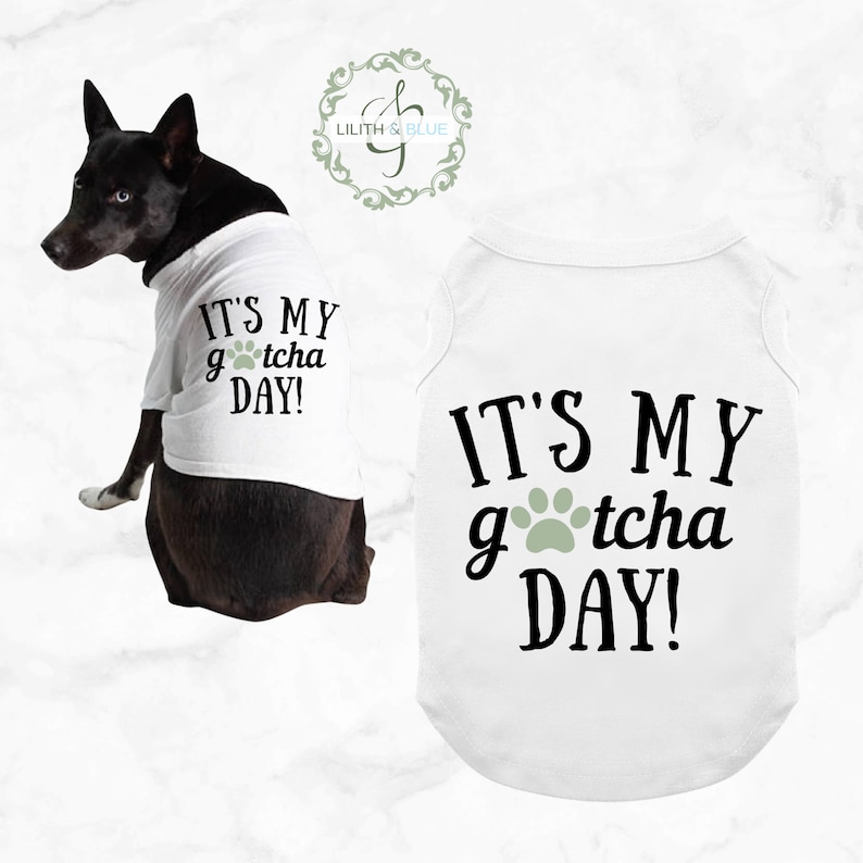 It's My Gotcha Day SVG- Instant Download - Etsy