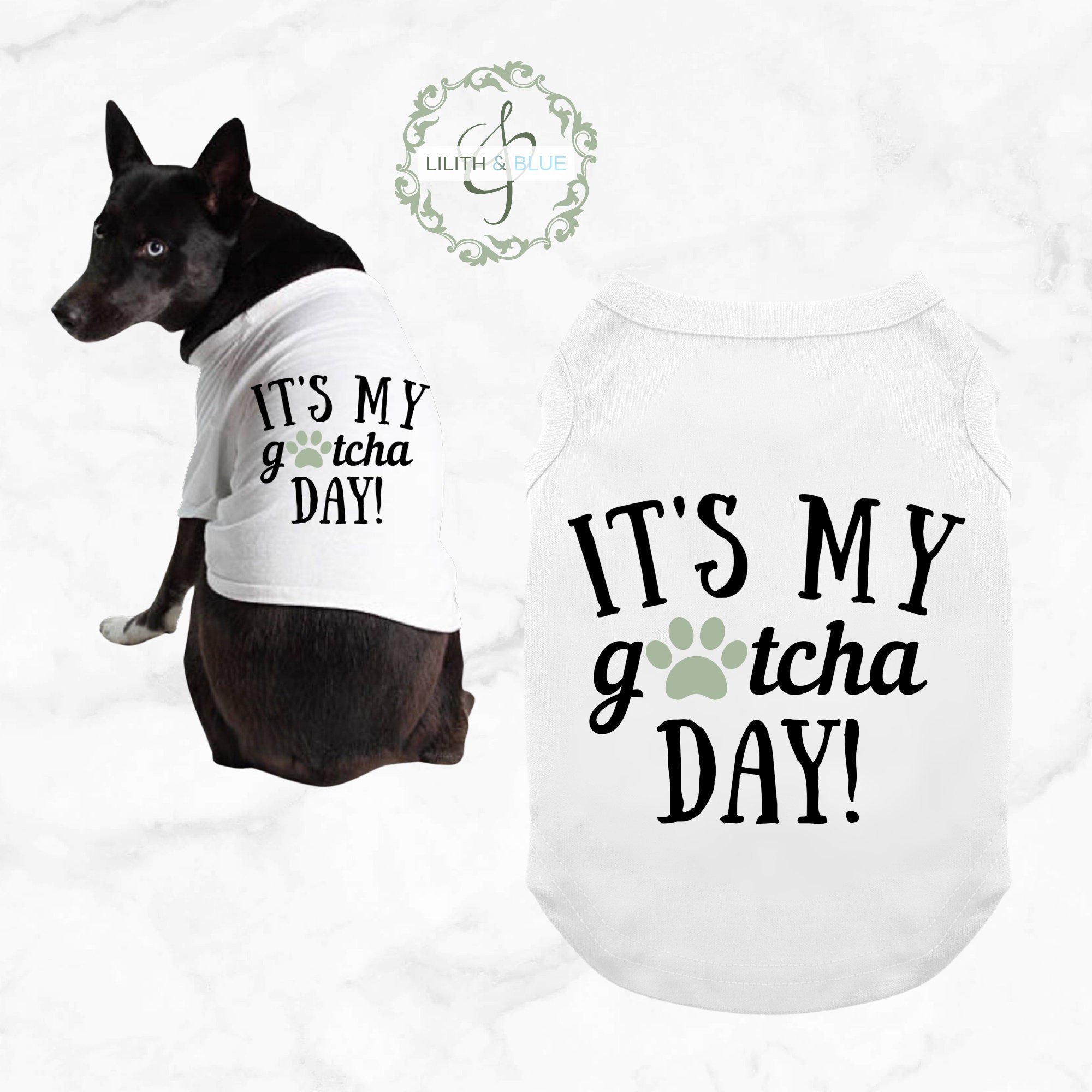 It's My Gotcha Day SVG- Instant Download - Etsy