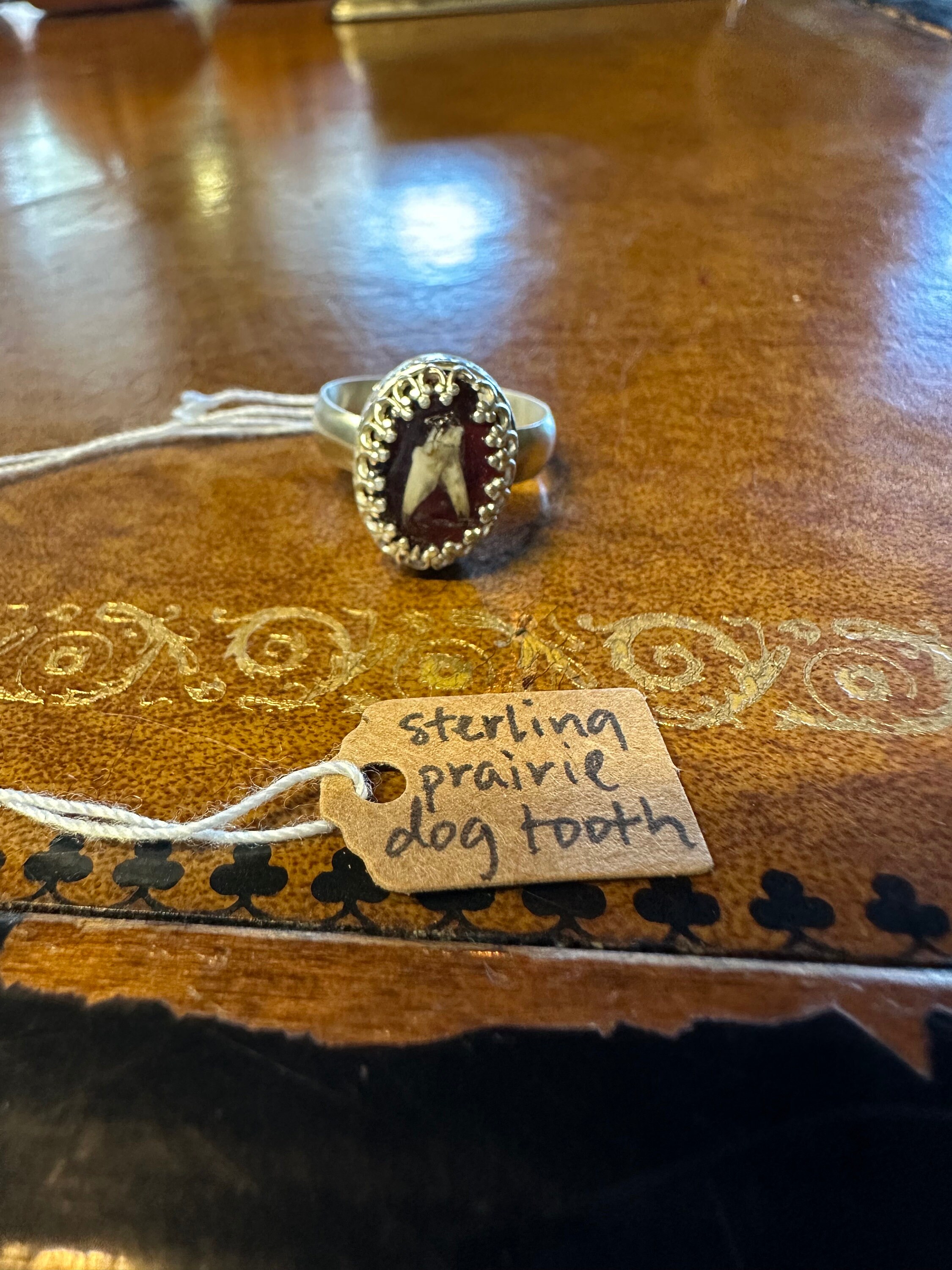 Prairie Dog Tooth Sterling Silver Ring - Etsy