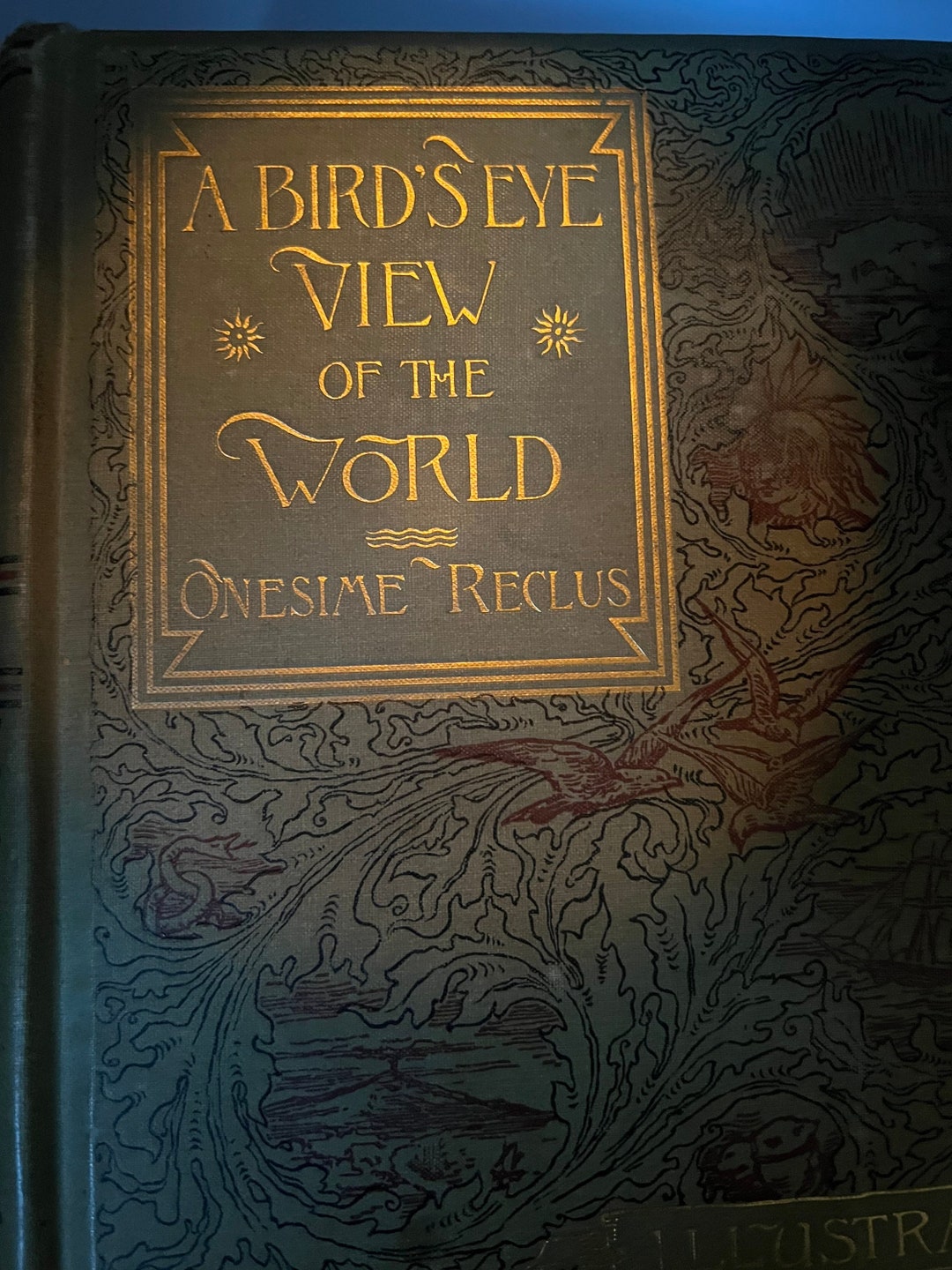 A Birds Eye View of the World by Onesime Reclus - Original 1st Edition ...