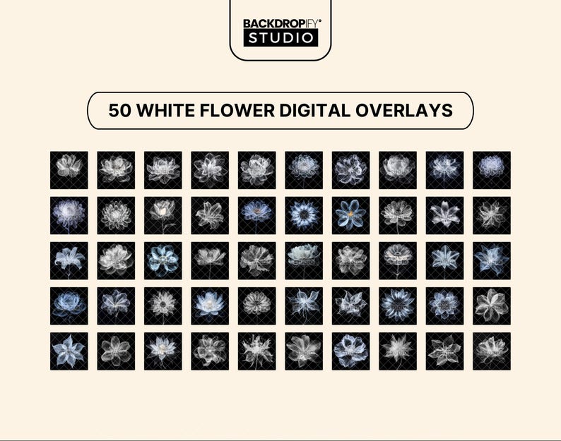 White Flower Photo Overlays - Flower Texture, Photoshop Overlays ...