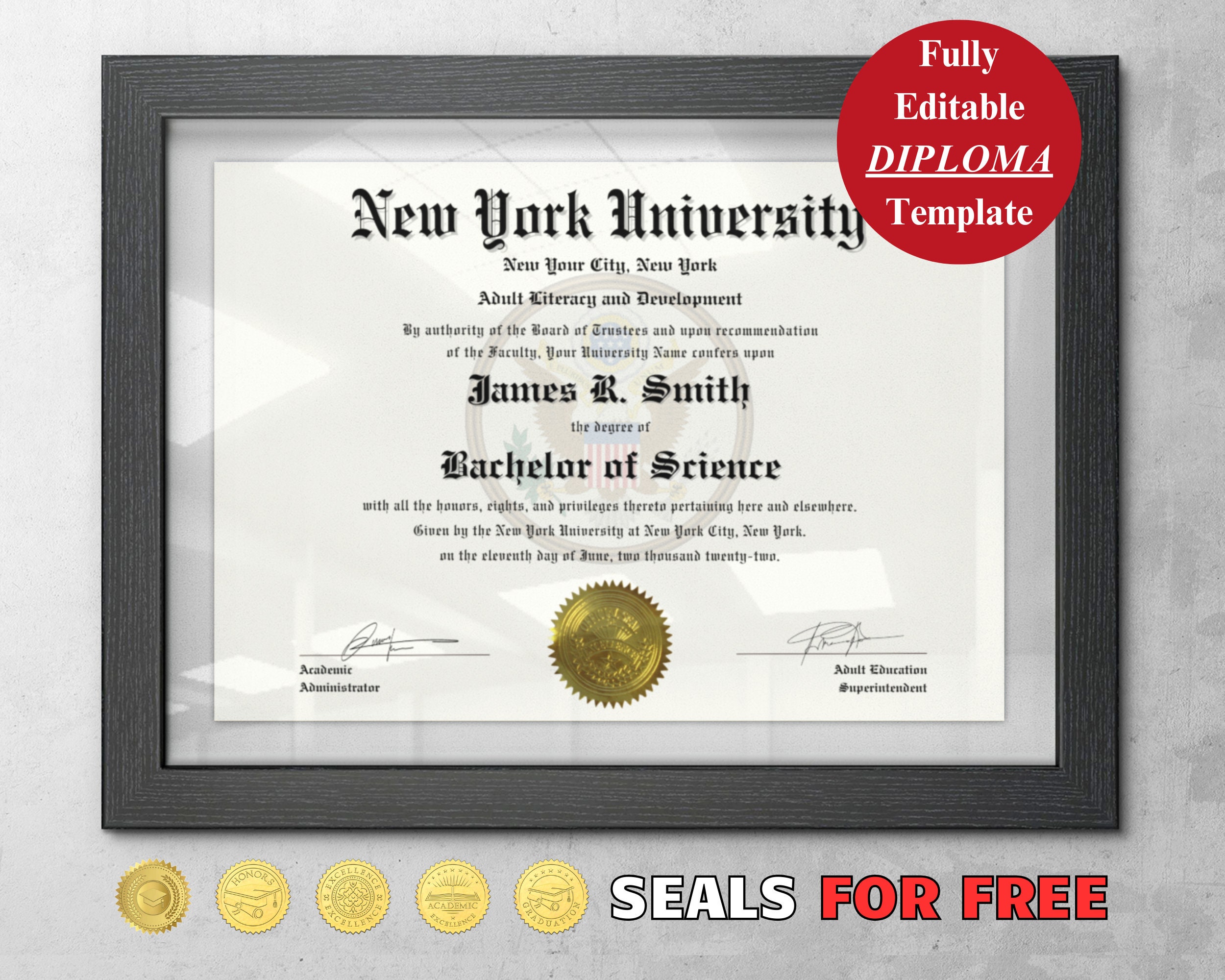 University Degree Template