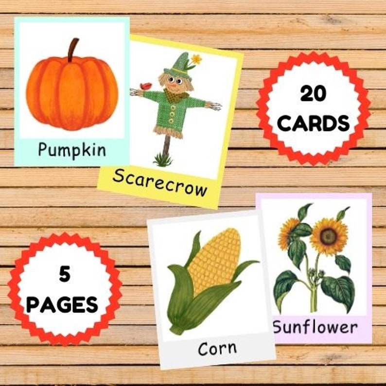 Fall Themed Flashcards: Autumn Vocabulary /visual Cards/preschool ...