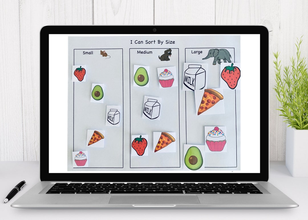 DIGITAL DOWNLOAD Sorting Bundle Sorting Shapes Sorting Colors Sort by ...