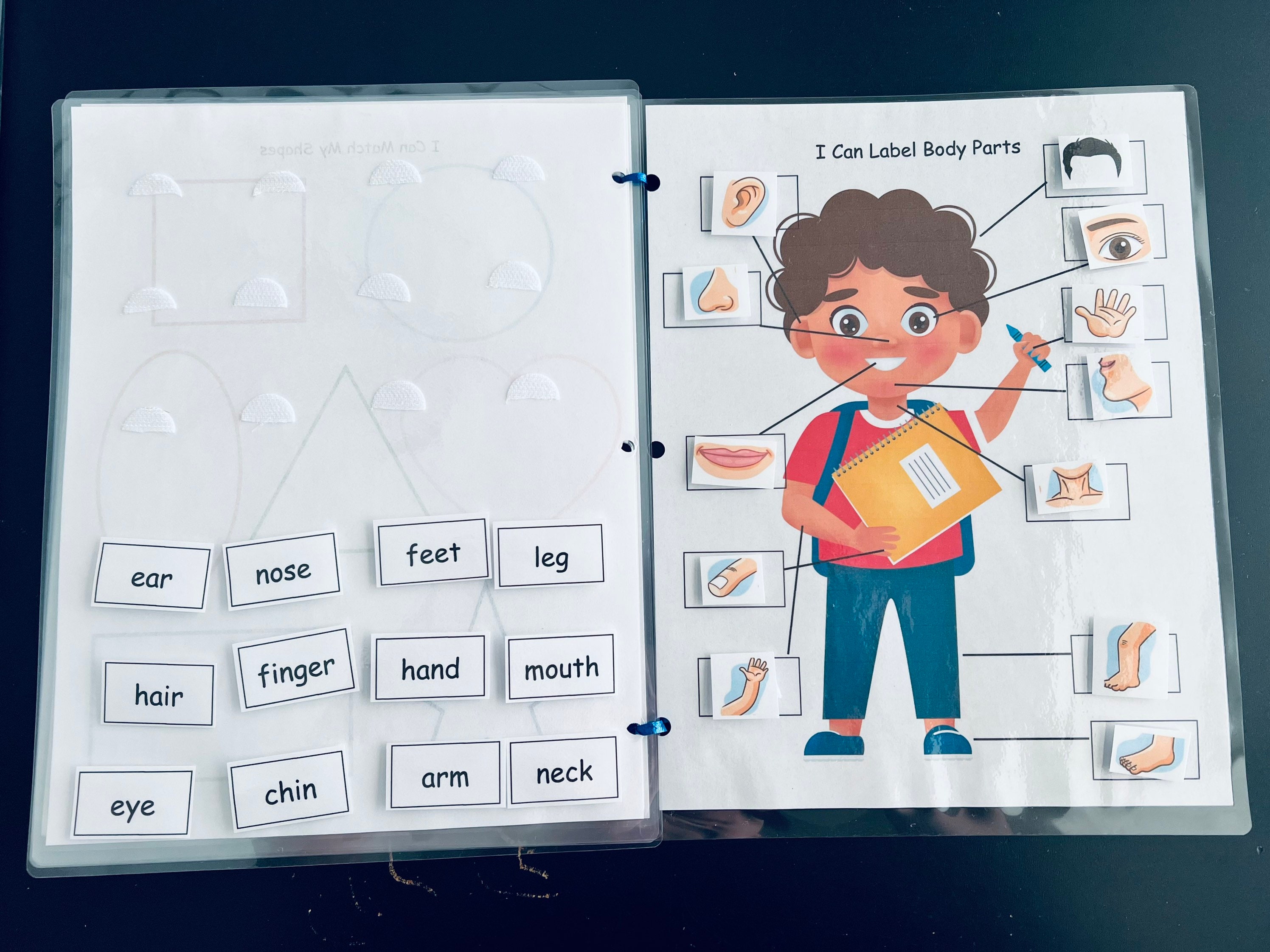 Body Labeling Activity Head Shoulders Knees and Toes Body Parts Toddler ...