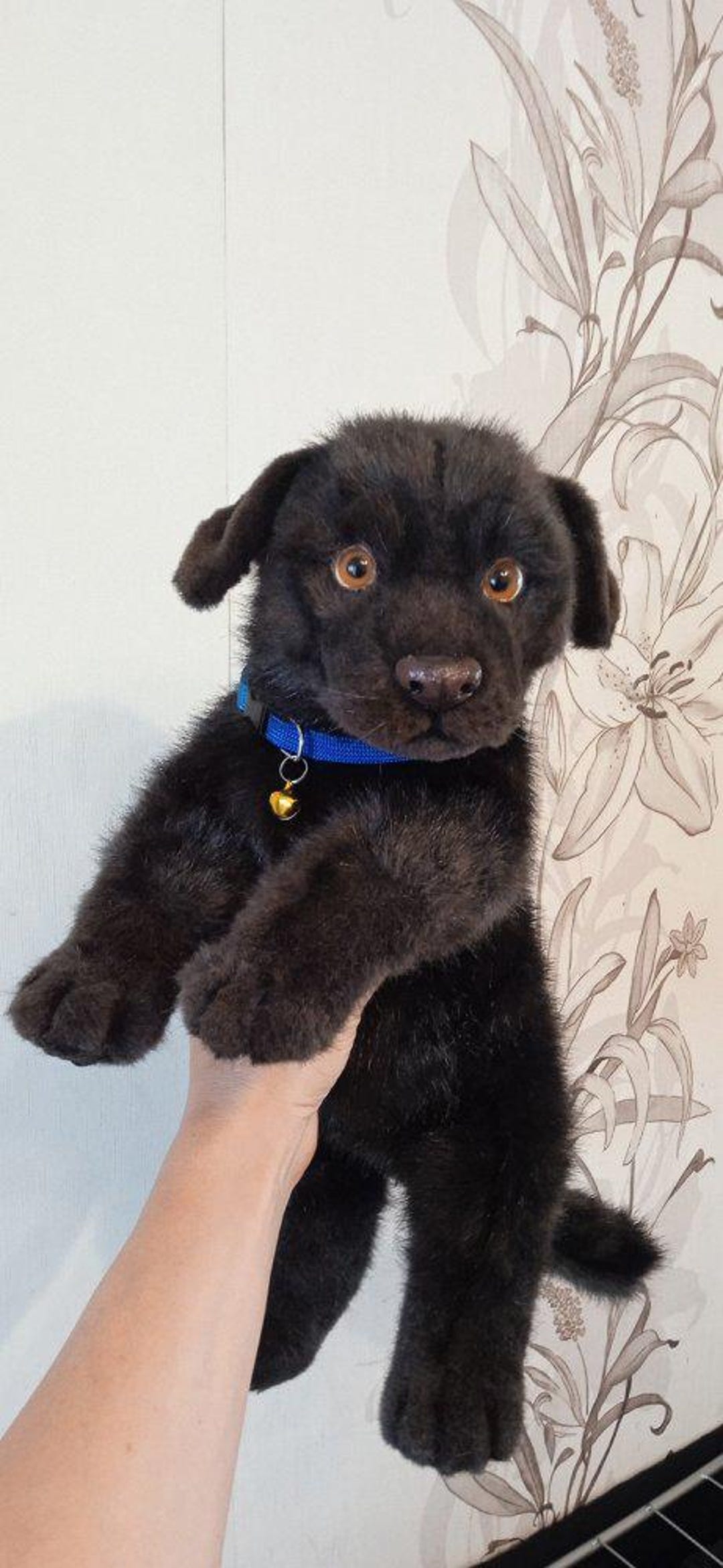 RESERVED **FOR Teena** Puppy Dog Art Doll Plush Stuffed - Robin the ...