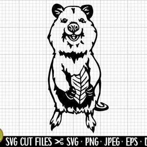 Quokka Svg Quokka Png Quokka Clipart Quokka Silhouette Commercial Use ...