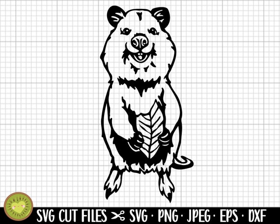 Quokka Svg Quokka Png Quokka Clipart Quokka Silhouette - Etsy