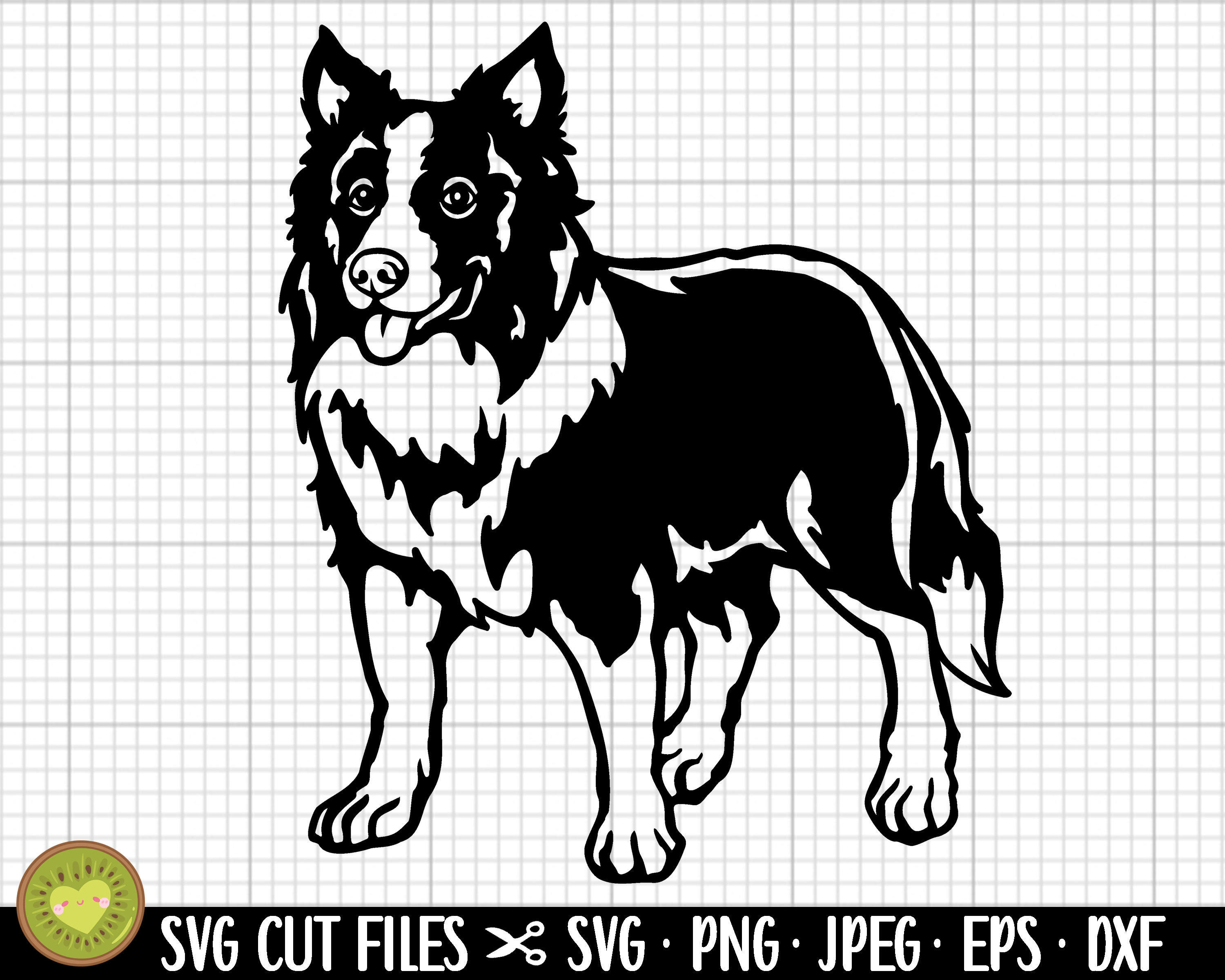 Border Collie Svg Cricut Cut File Border Collie Png Commercial Use ...