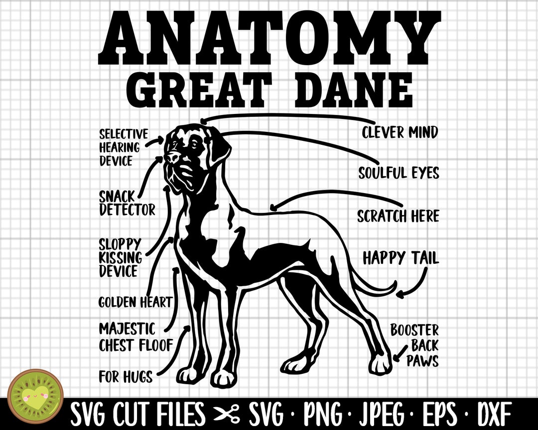Great Dane Svg - Etsy
