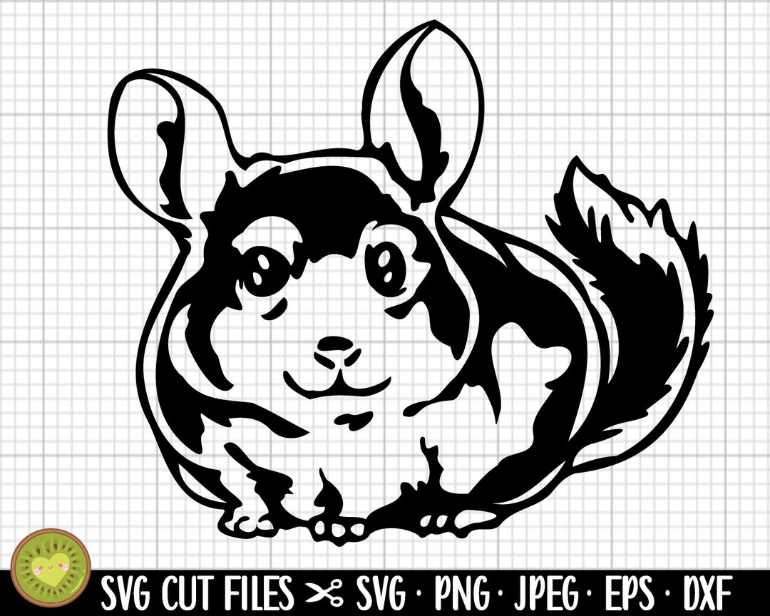 Chinchilla Svg Cricut Png Eps Dxf Cut Files Cricut - Etsy