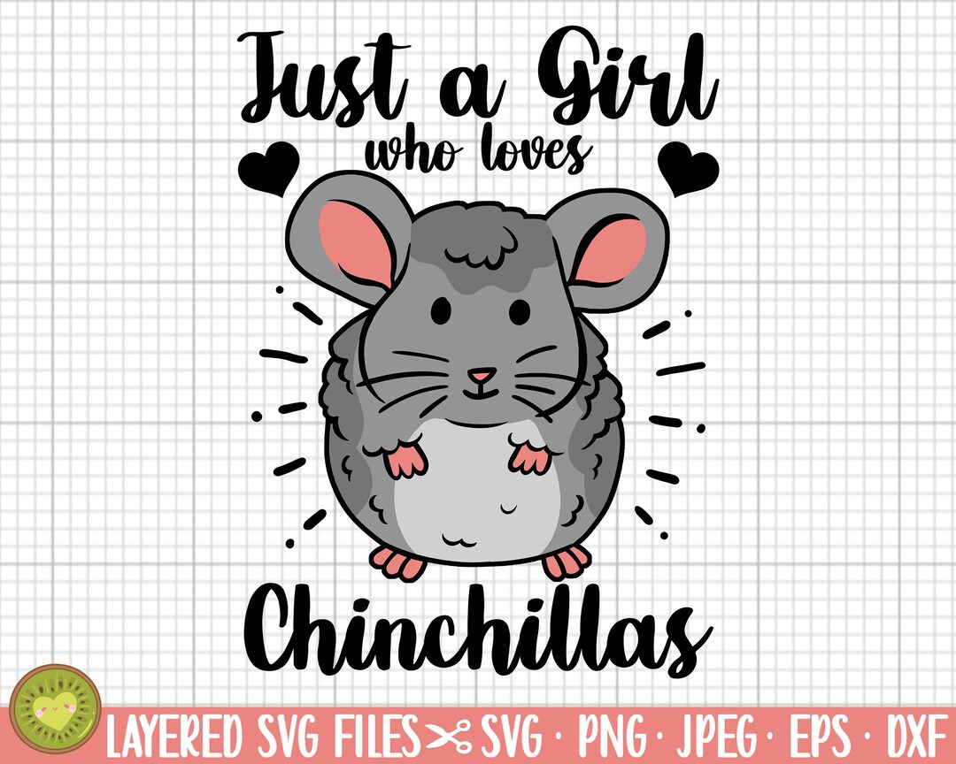 Chinchilla Svg Chinchilla Png - Etsy