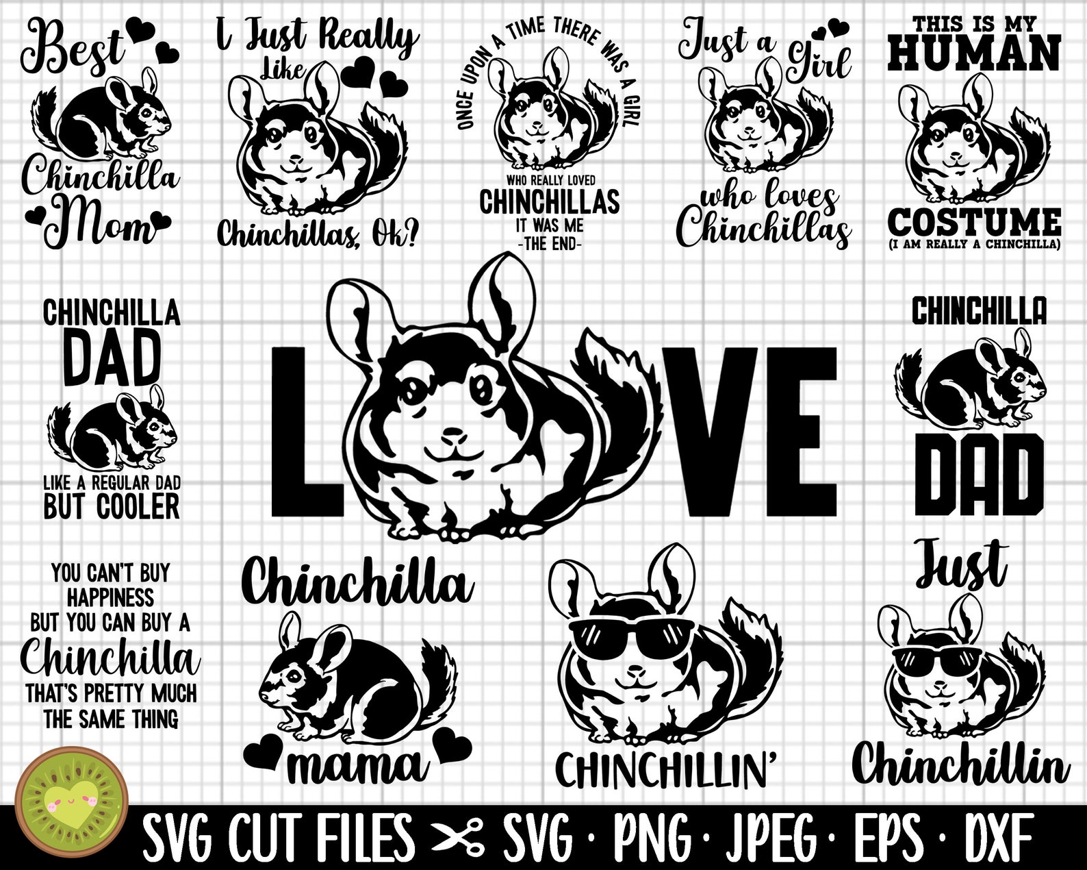 Chinchilla Svg Bundle Cricut Chinchilla Png Bundle Chinchilla Lover Svg ...
