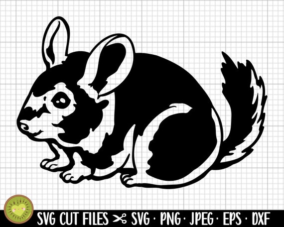 Chinchilla Clipart Chinchilla Svg Chinchilla Png Chinchilla - Etsy