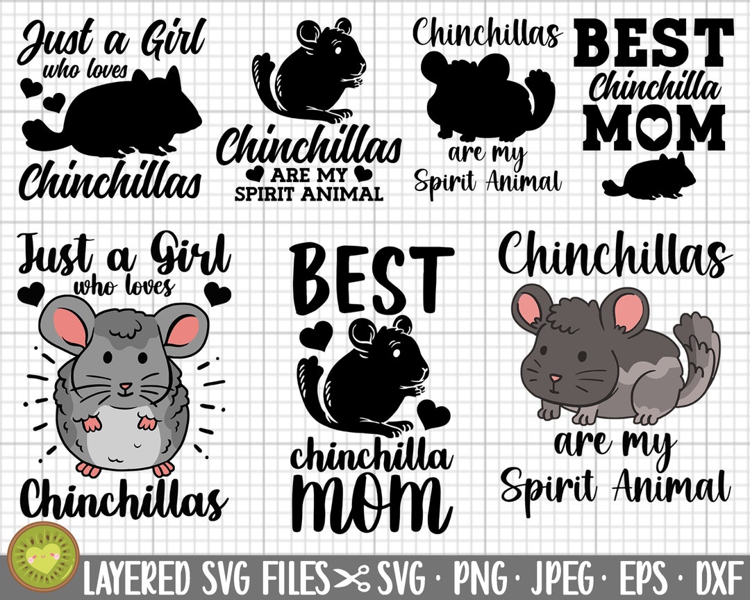 Chinchilla Svg Cricut Shirt Commercial Use Chinchilla Svg Png ...