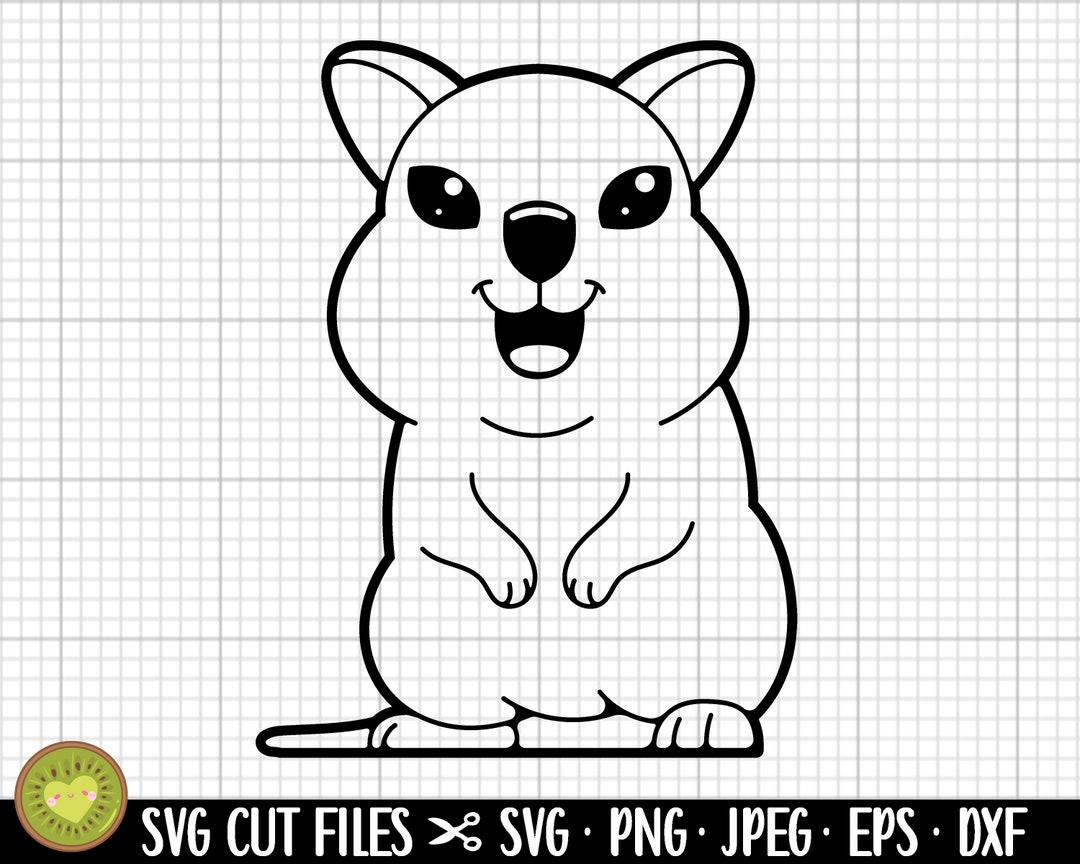 Cute Quokka Illustration Quokka Svg Quokka Png - Etsy