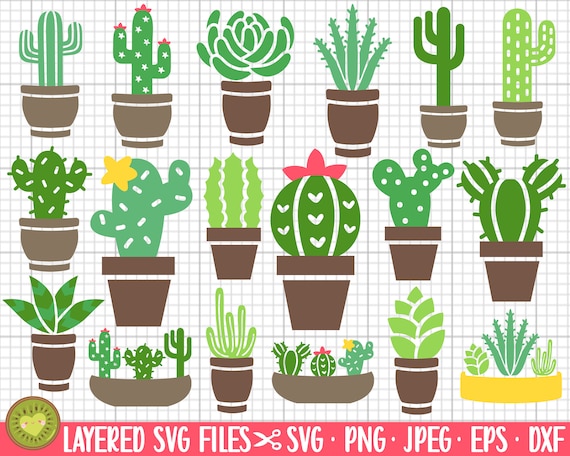 Cactus Svg Bundle Cricut Cut File Cactus Png Bundle Cacti Svgs - Etsy