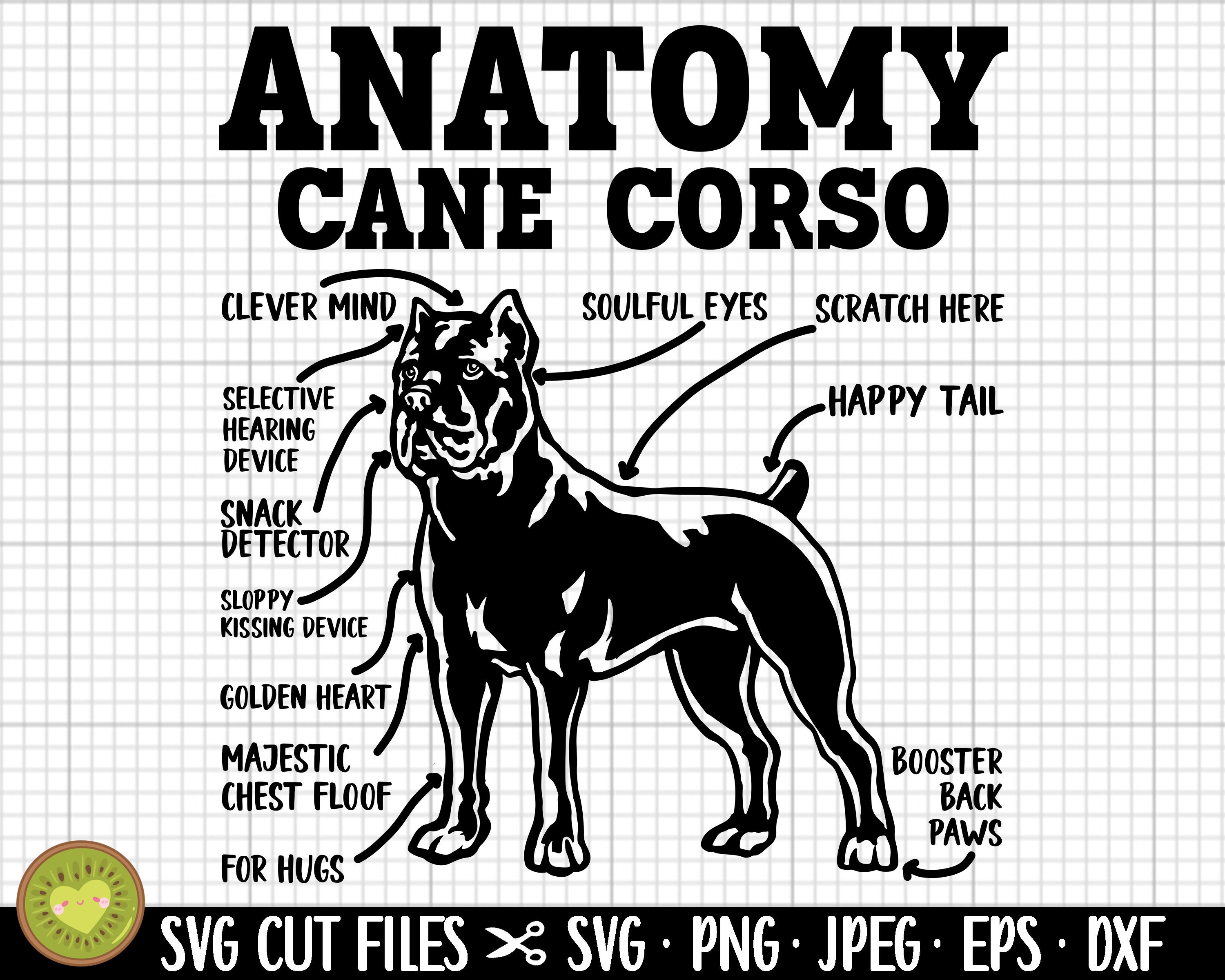 Cane corso svg png cricut cane corso lover owner gift svg cricut shirt ...